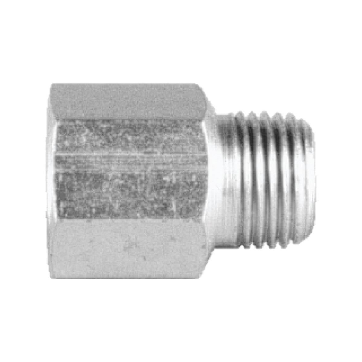 Graco Pipe Extension - 1/8 NPT male X 1/8 NPT female, 3/4 long