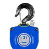 Tralift Manual Chain Hoist, 6,000 lb. (3 Ton) Load Capacity