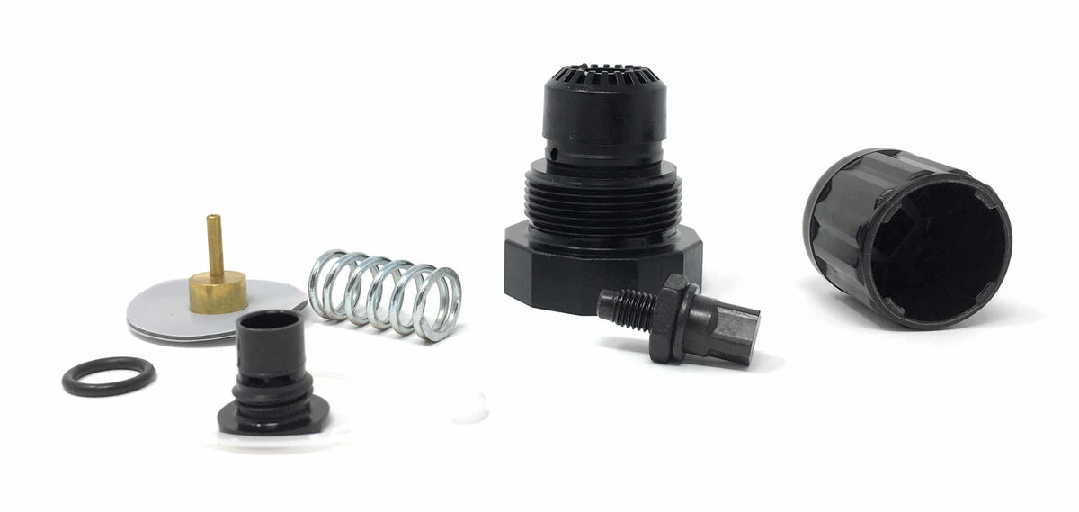 Binks 85-437 Kit-Reg, 10 Lb